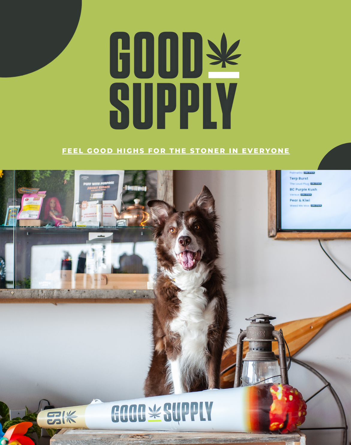 Good Supply Month: Finding the Right Feel Good High 💚 | Farmer Jane ...